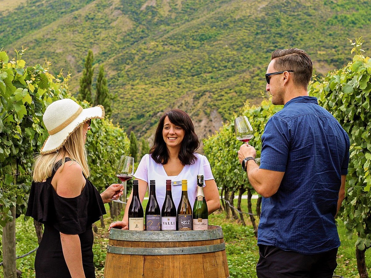 How small EU wine producers are surviving climate change and Brexit ...
